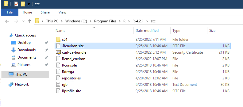 R/RStudio installation using domain allowlisting